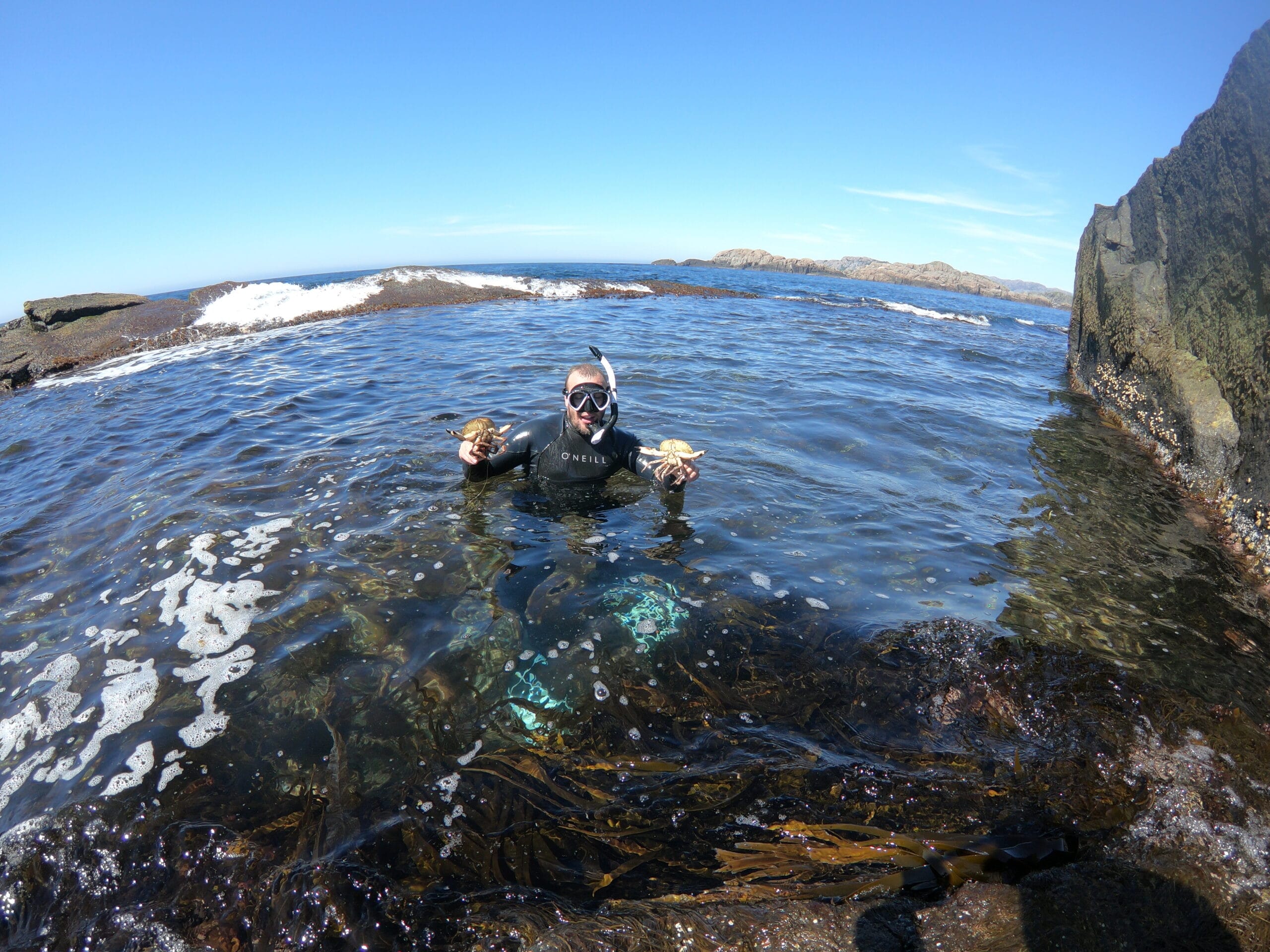 Snorkelling around Hidra, a hidden gem along the Norwegian coast ...