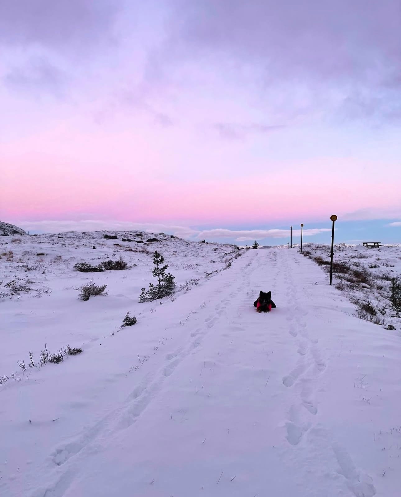 Voreknuten - Magma Geopark